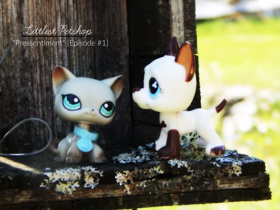 Pressentiment | LPSTube Wiki | Fandom